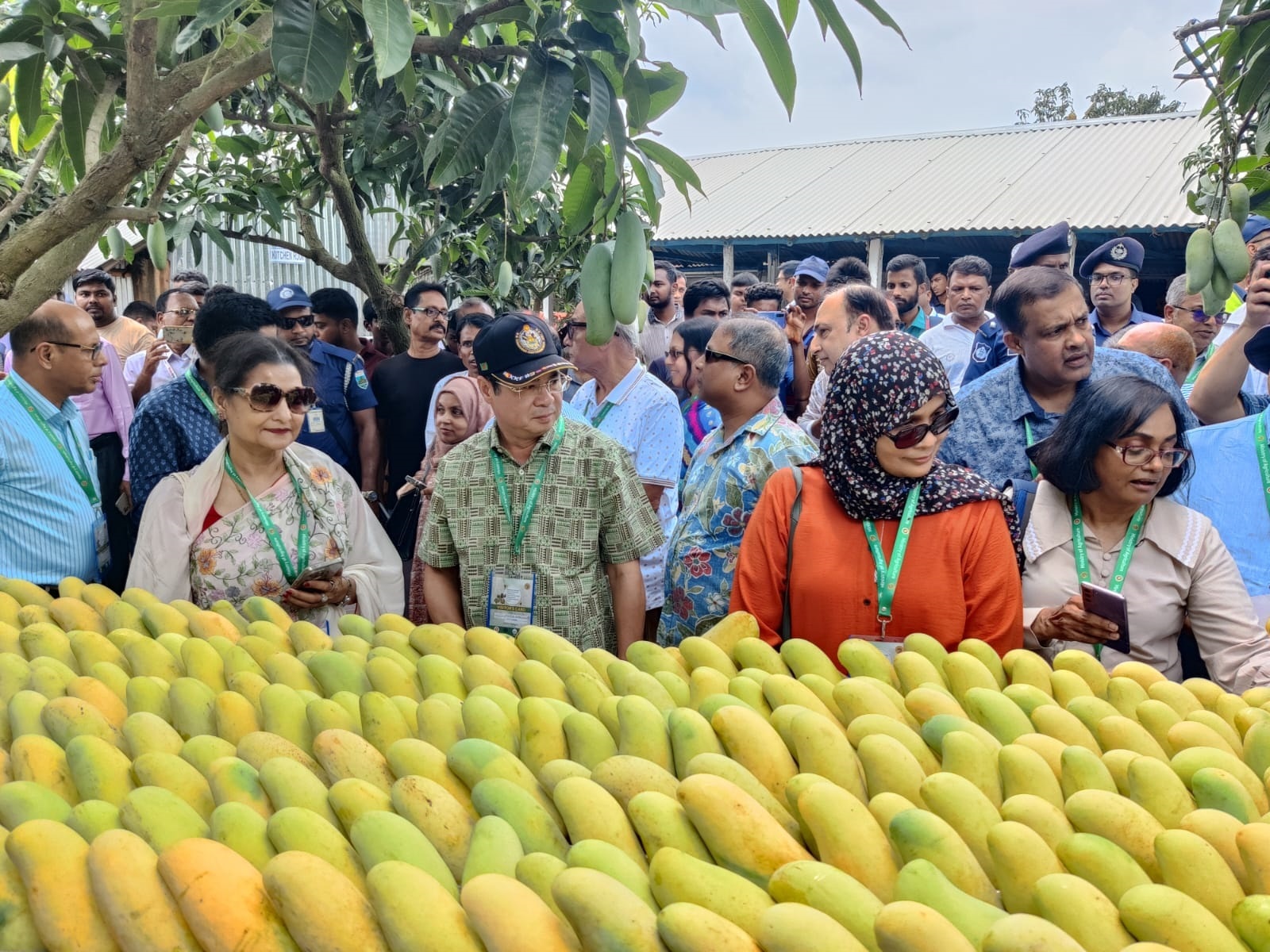 Exportable Mango Production Project
