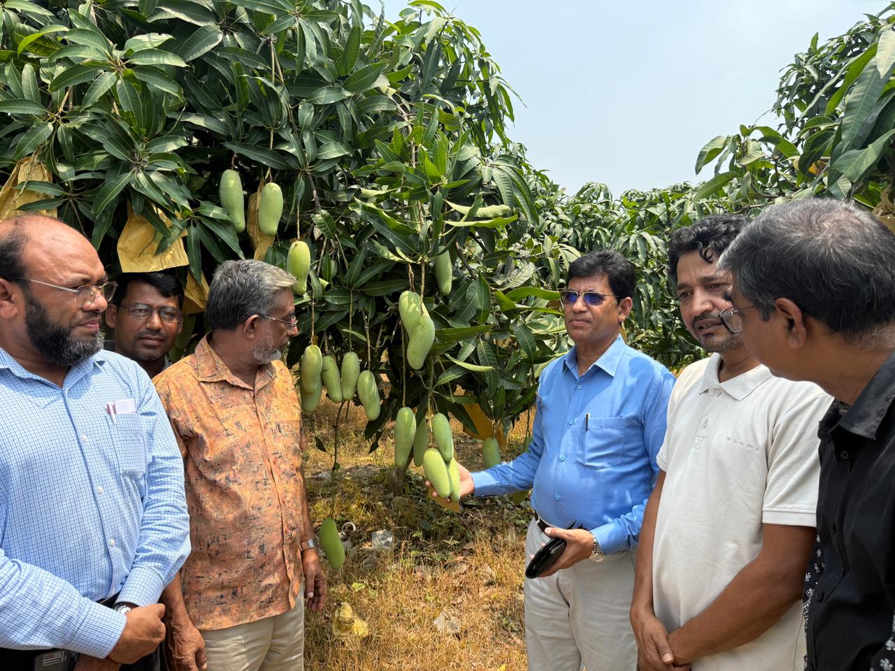 Exportable Mango Production Project